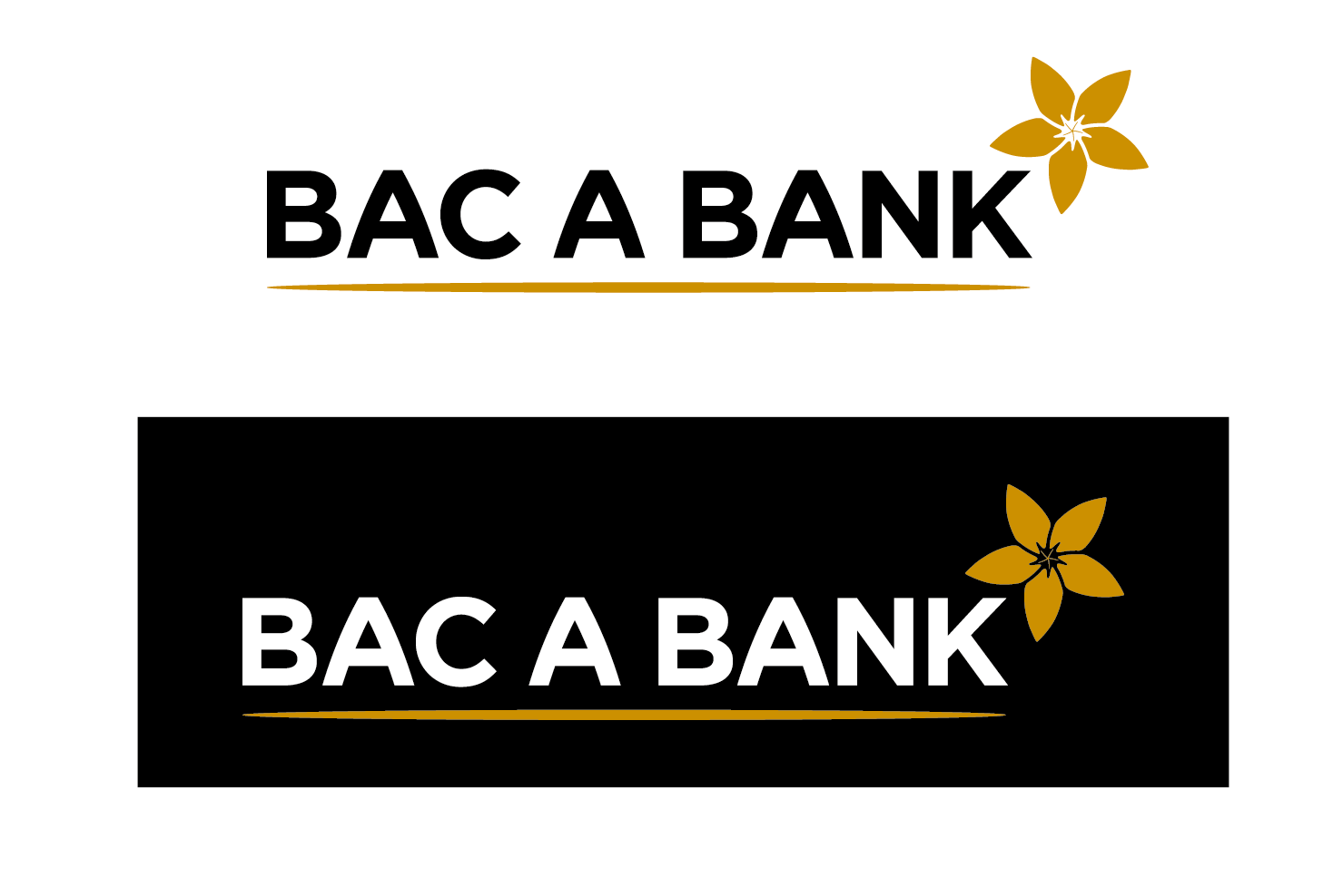 Ngân hàng TMCP Bắc Á - BAC A BANK
